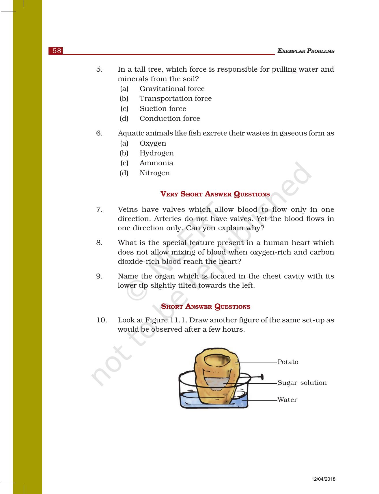 NCERT Exemplar Book for Class 7 Science Chapter 11-Transportation in ...