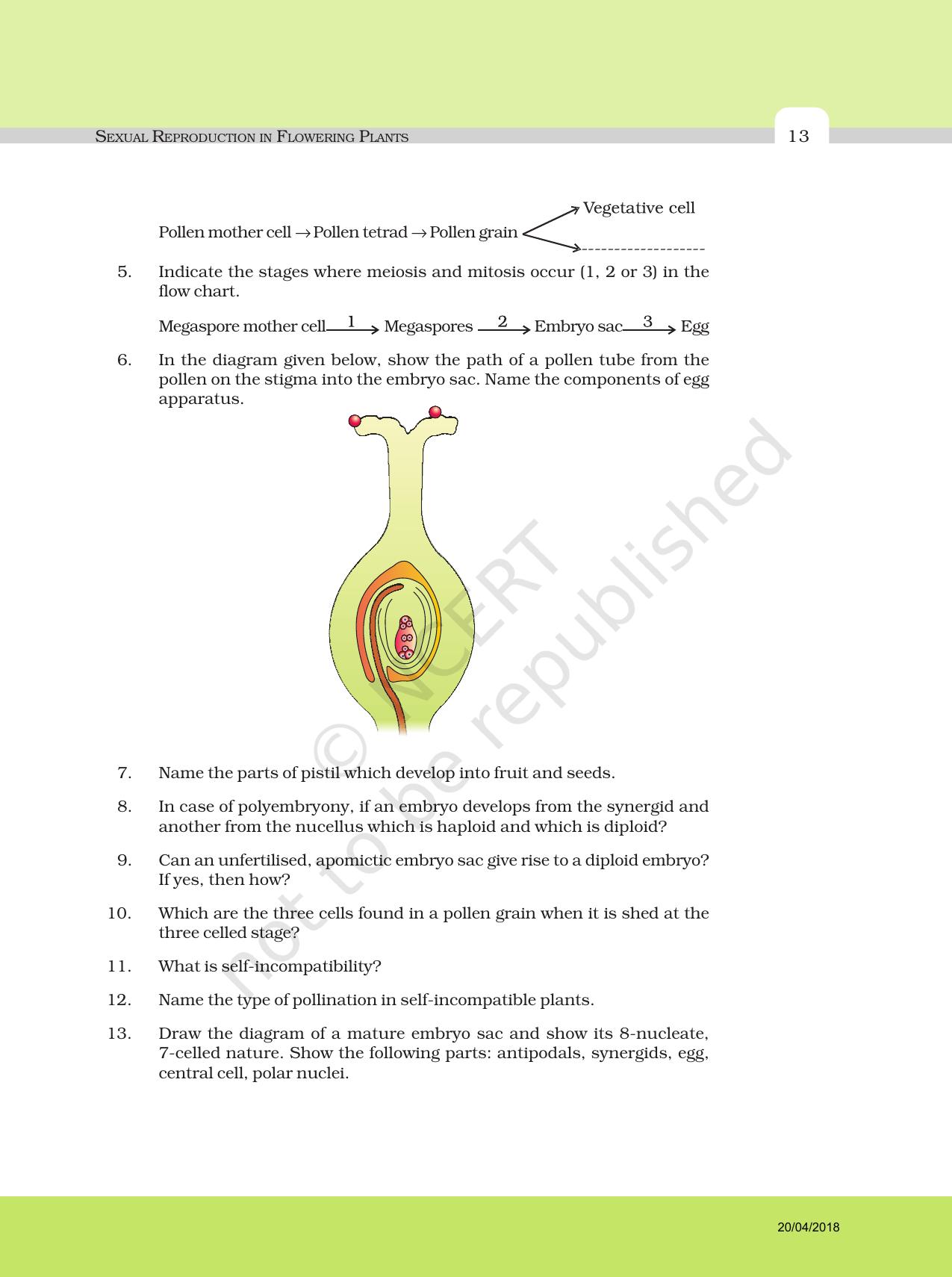 NCERT Exemplar Book for Class 12 Biology Chapter 2 Sexual Reproduction ...
