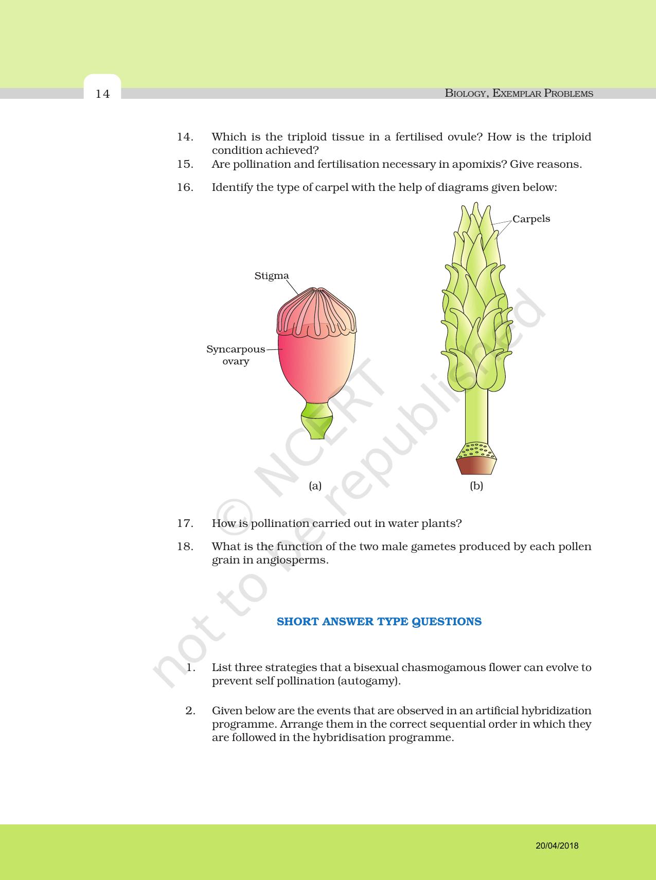 NCERT Exemplar Book for Class 12 Biology Chapter 2 Sexual Reproduction ...