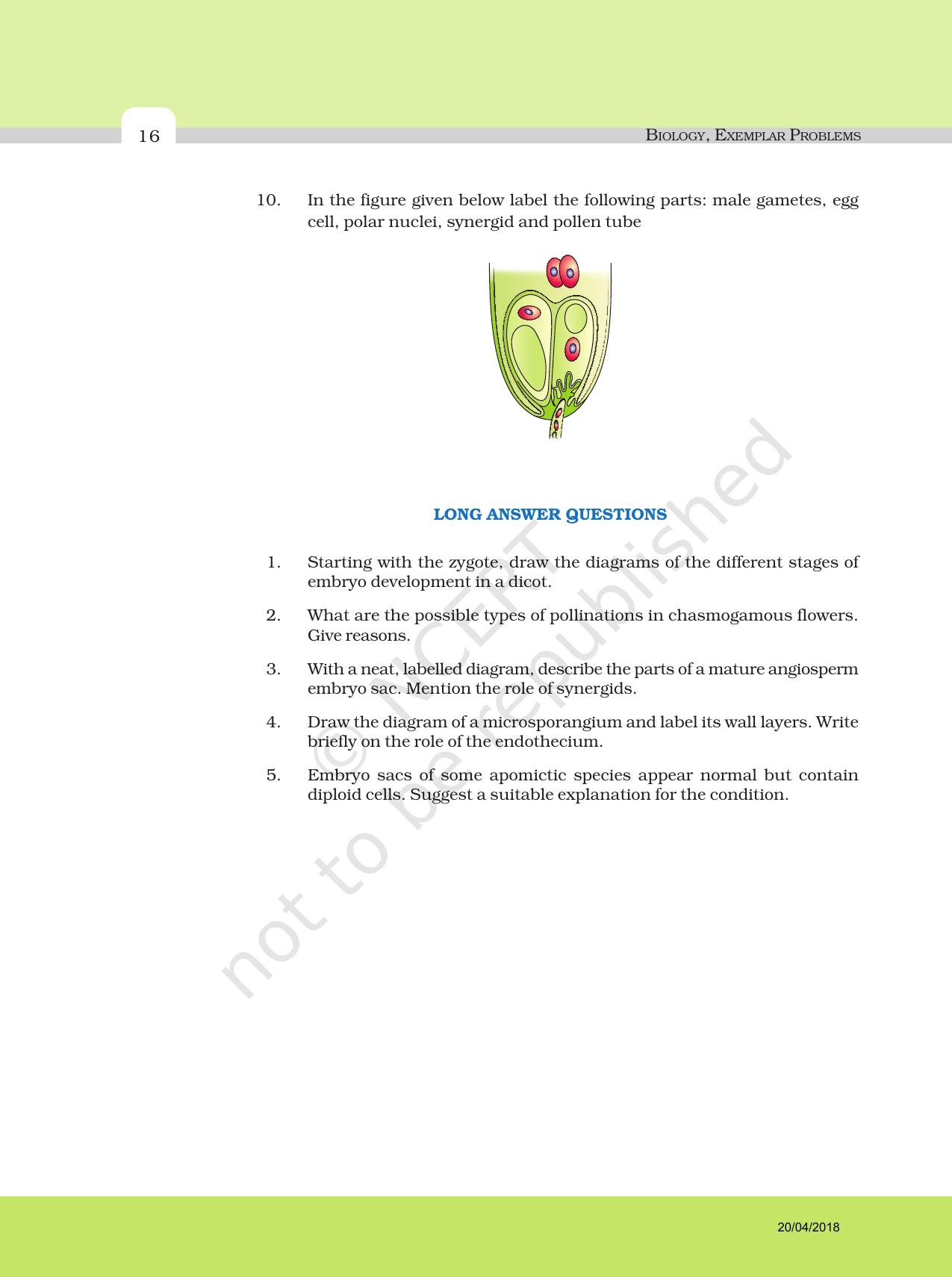 NCERT Exemplar Book for Class 12 Biology Chapter 2 Sexual Reproduction ...