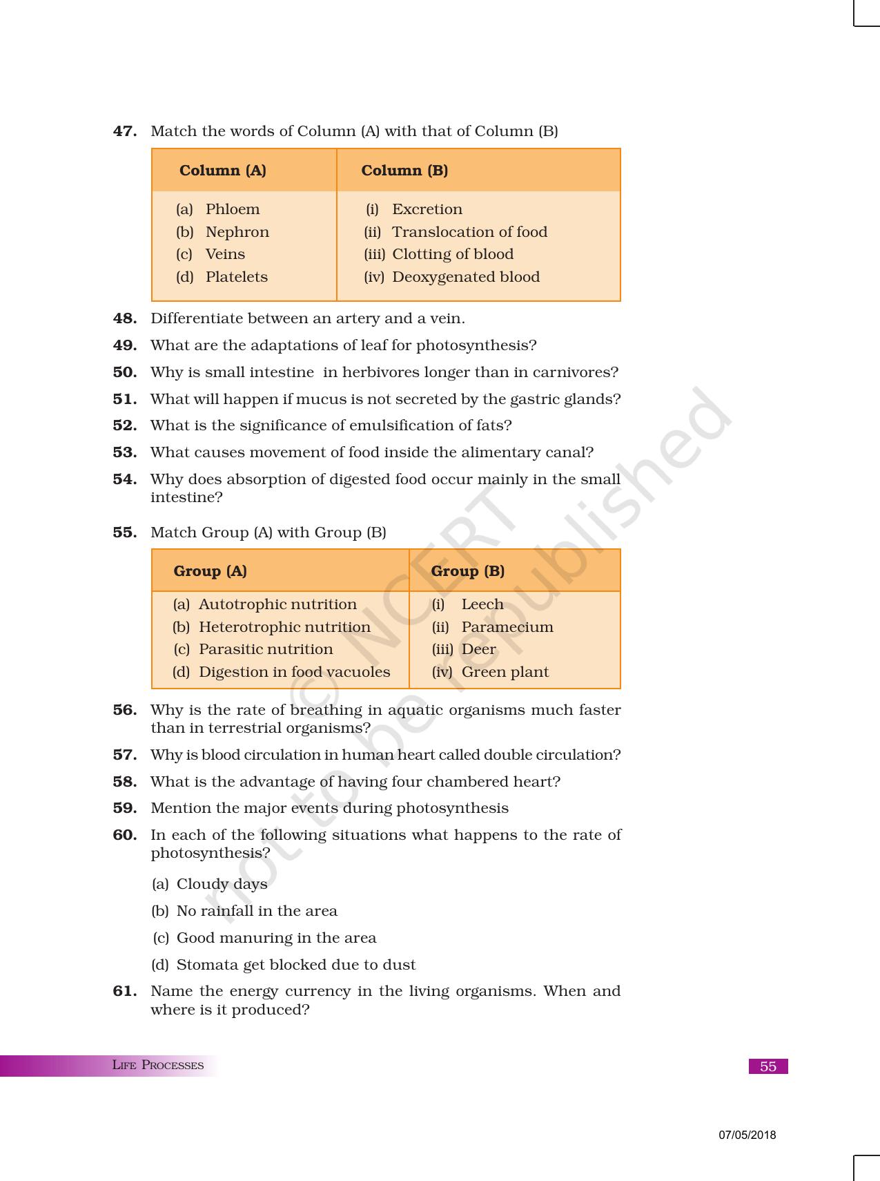 NCERT Exemplar Book for Class 10 Science Chapter 6 Life Processes