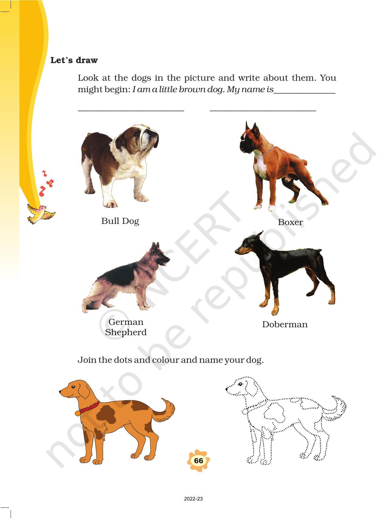 NCERT Book for Class 3 English: Unit VII.1-Puppy and I - IndCareer Schools