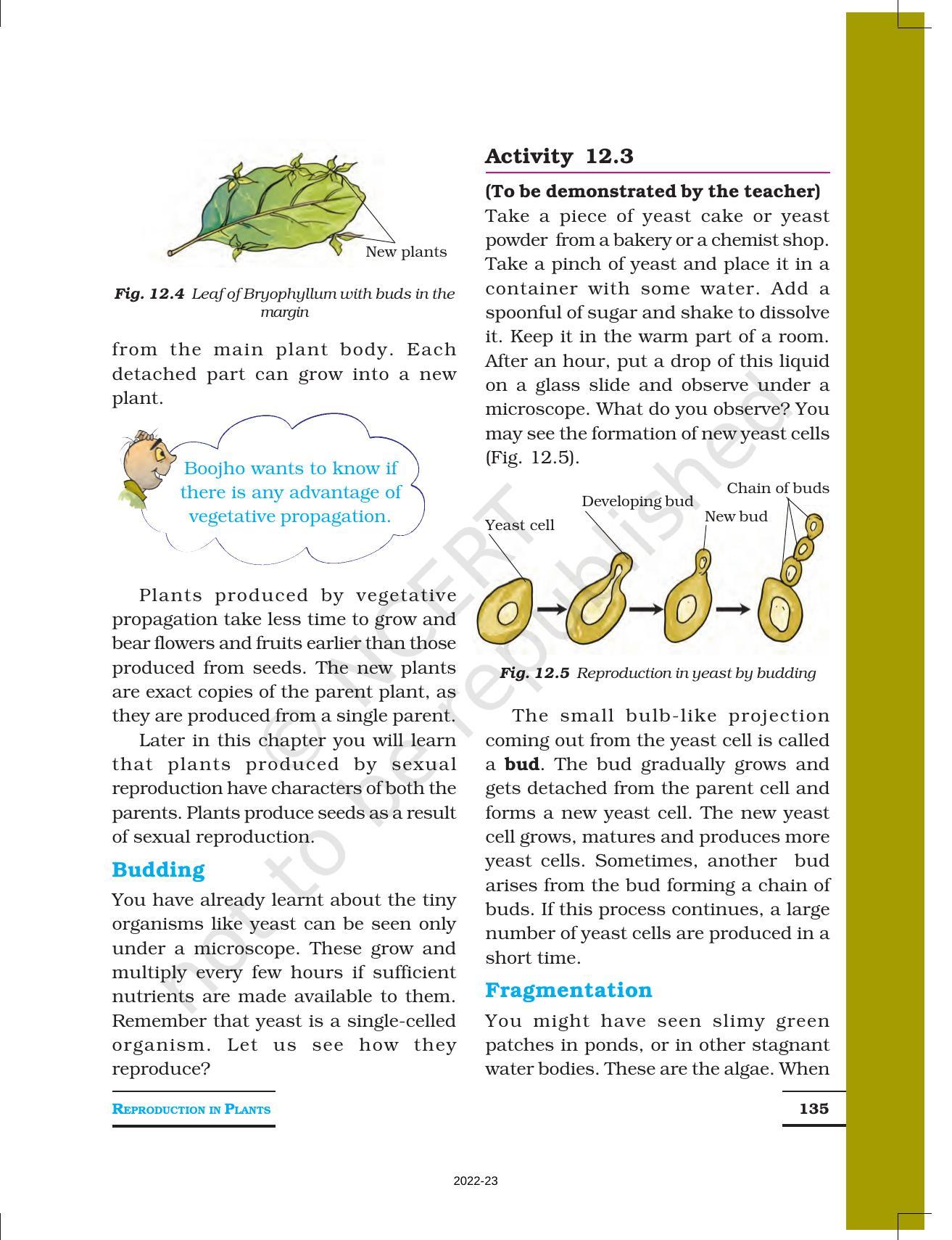 NCERT Book for Class 7 Science: Chapter 12-Reproduction in Plants ...