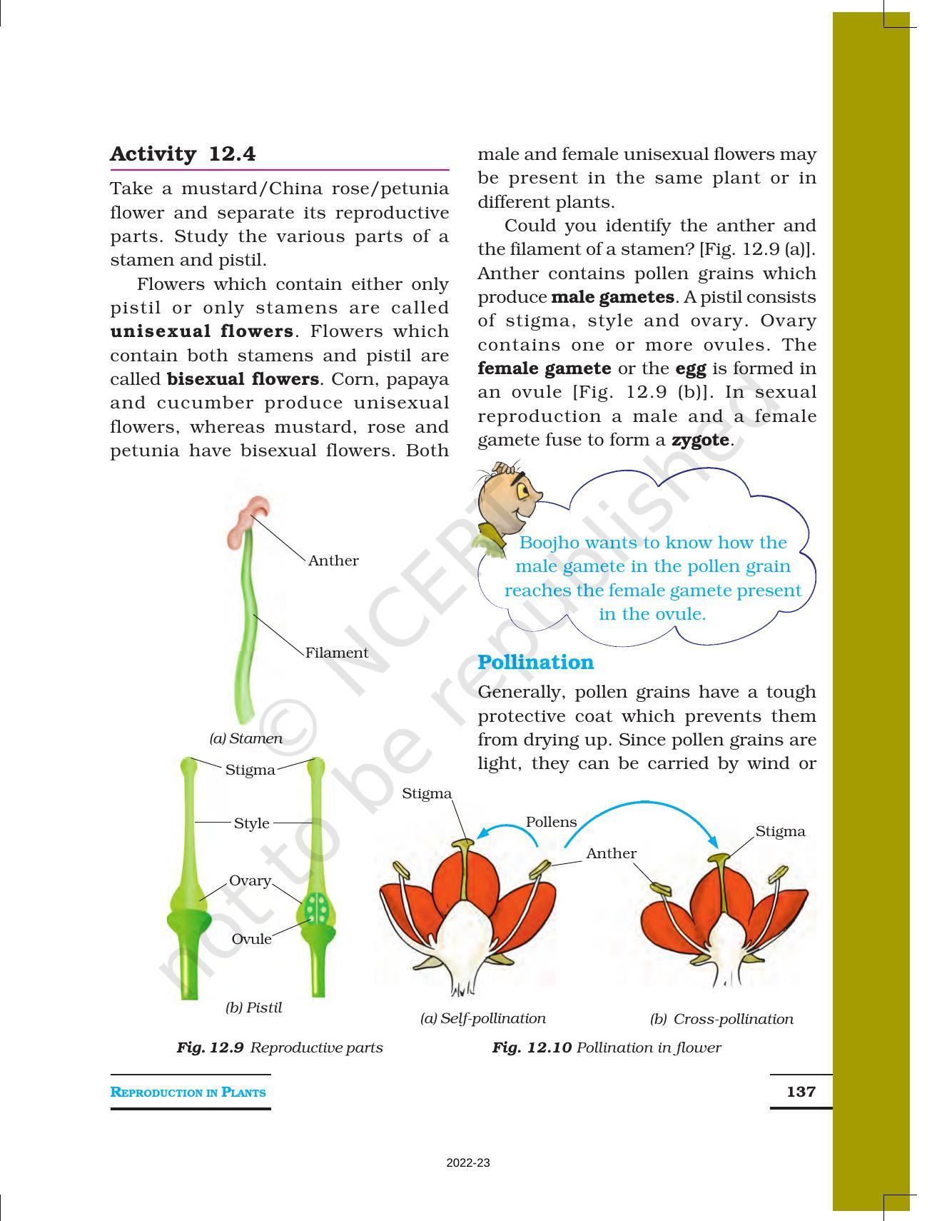 NCERT Book for Class 7 Science: Chapter 12-Reproduction in Plants ...