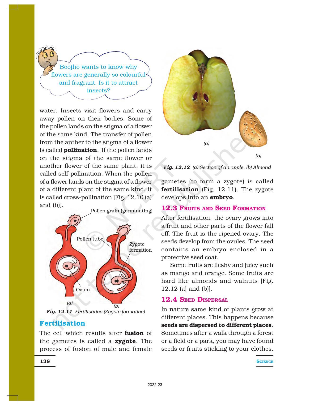 NCERT Book for Class 7 Science: Chapter 12-Reproduction in Plants ...