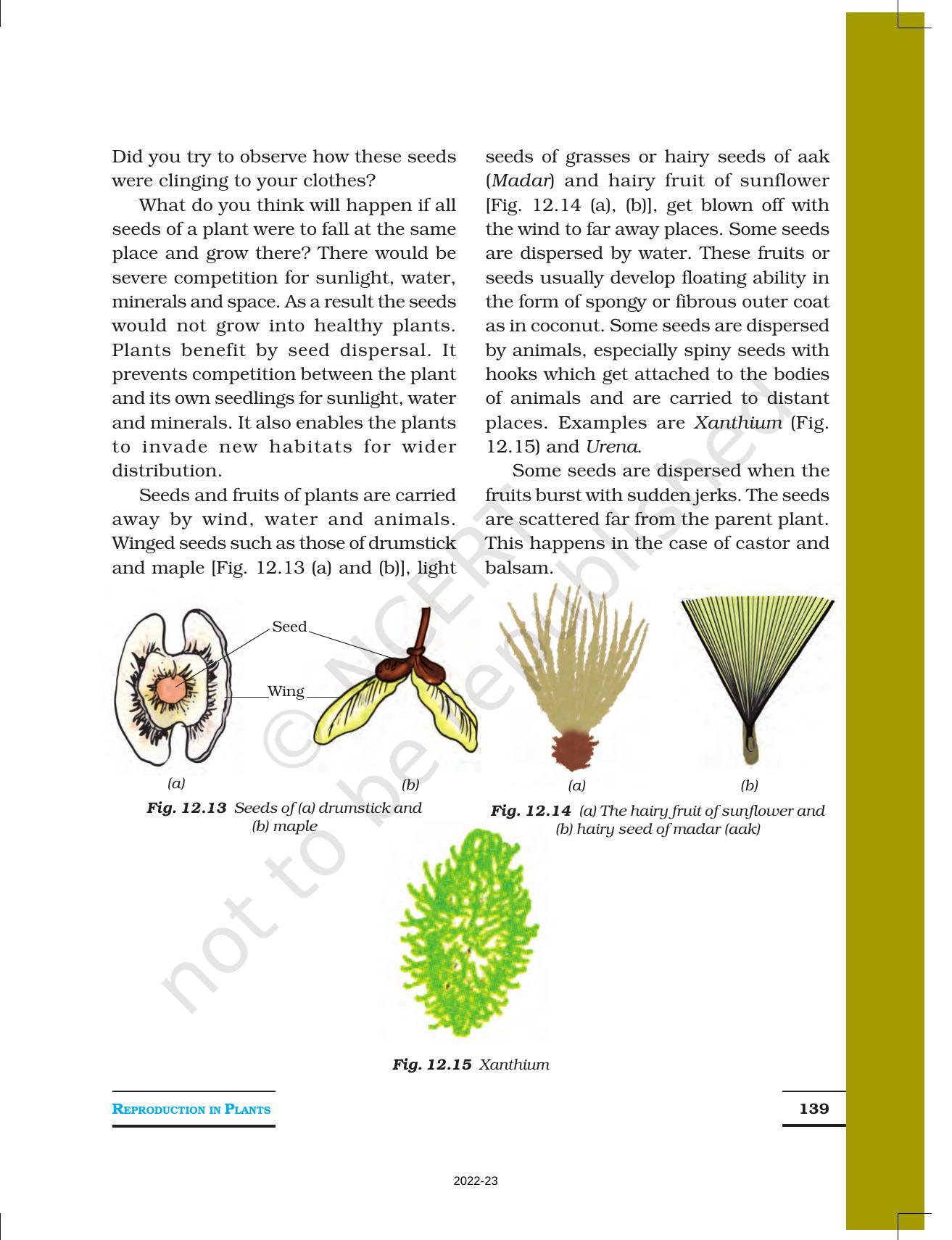 NCERT Book for Class 7 Science: Chapter 12-Reproduction in Plants ...