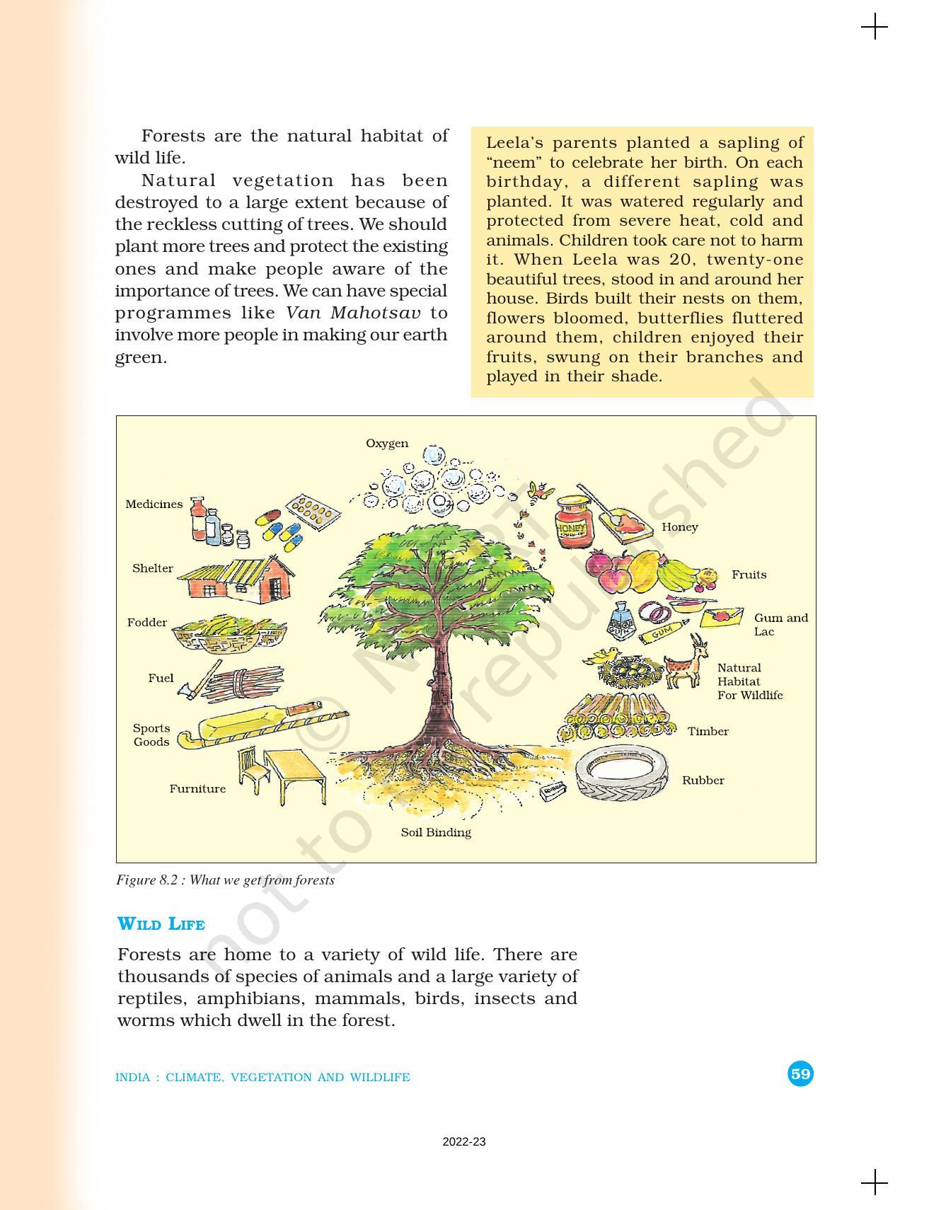 NCERT Book for Class 6 Social Science(Geography) : Chapter 8-India ...