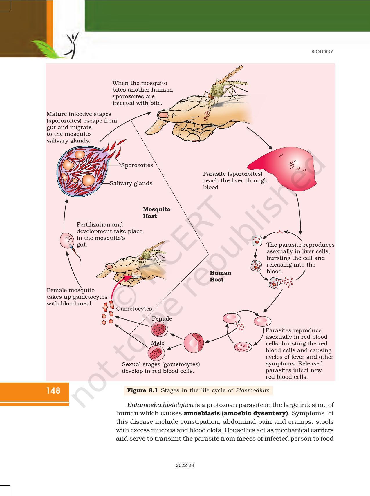 NCERT Book for Class 12 Biology Chapter 8 Human Health and Disease ...