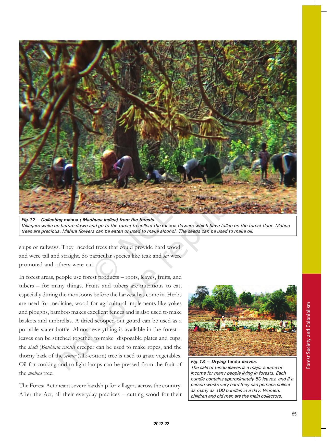 NCERT Book for Class 9 History Chapter 4 Forest Society