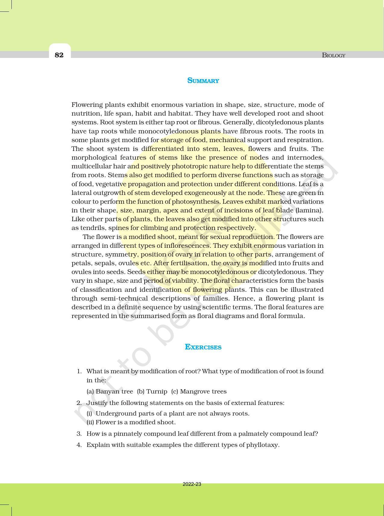 NCERT Book for Class 11 Biology Chapter 5 Morphology