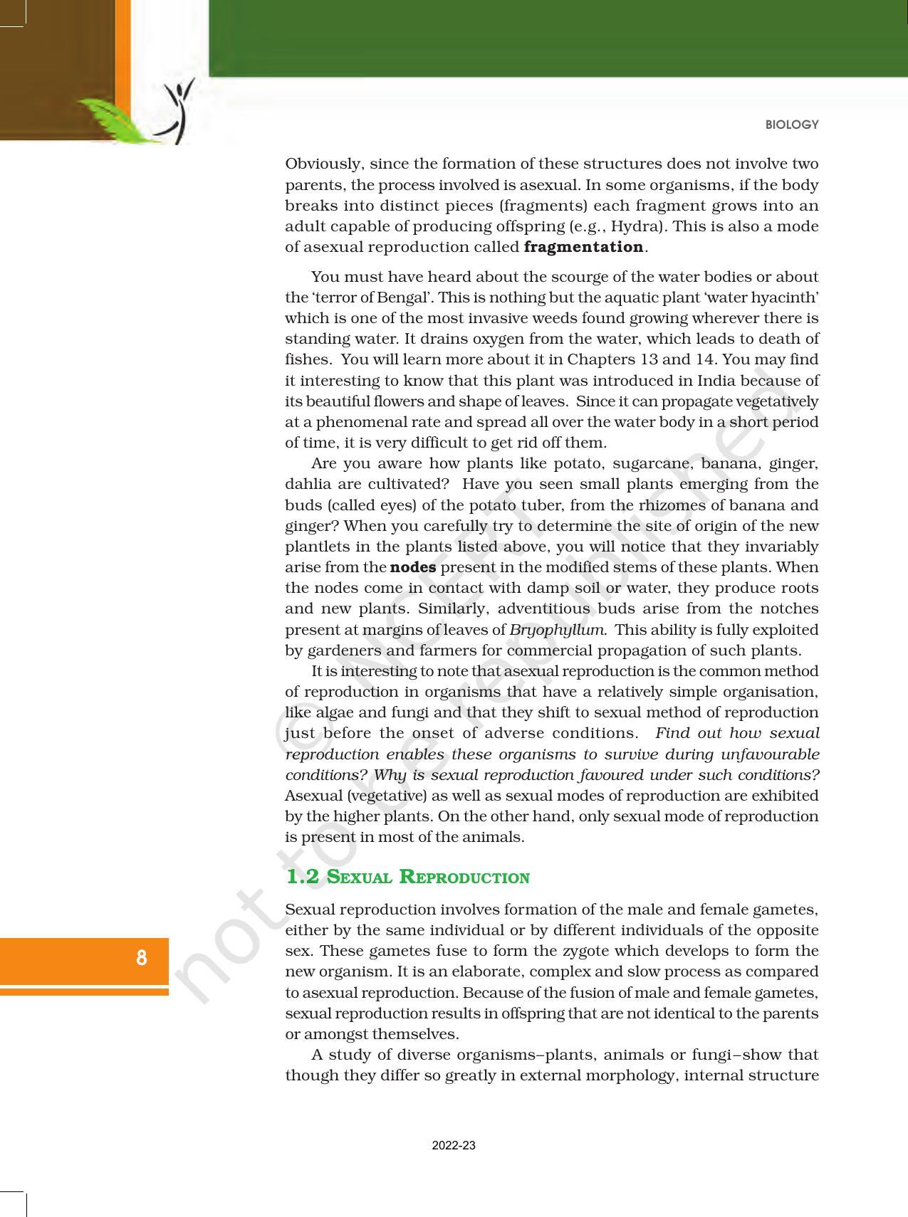 NCERT Book for Class 12 Biology Chapter 1 Reproduction in Organisms ...