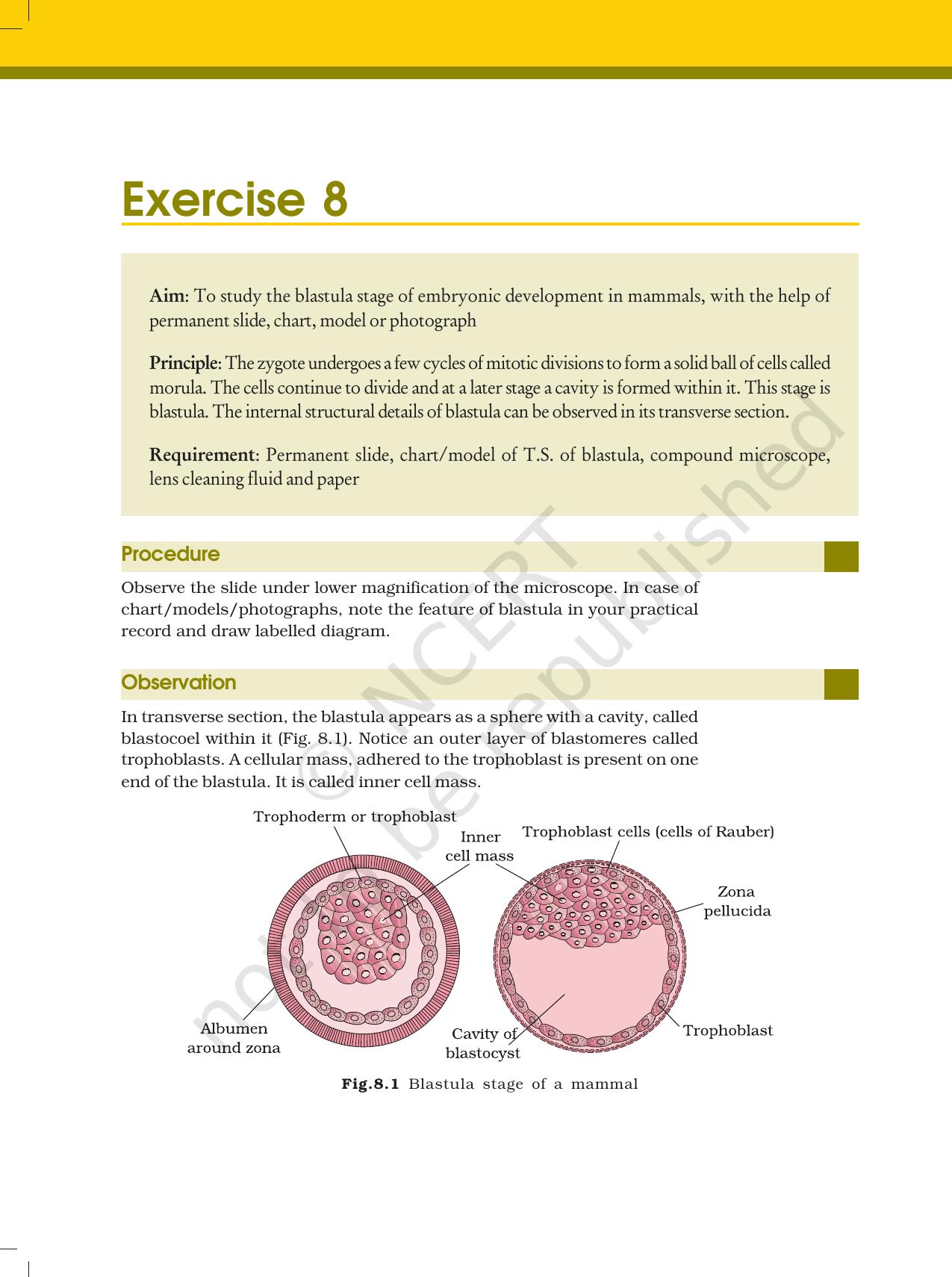NCERT Laboratory Manuals for Class XII Biology - Exercise 8 & 9 ...