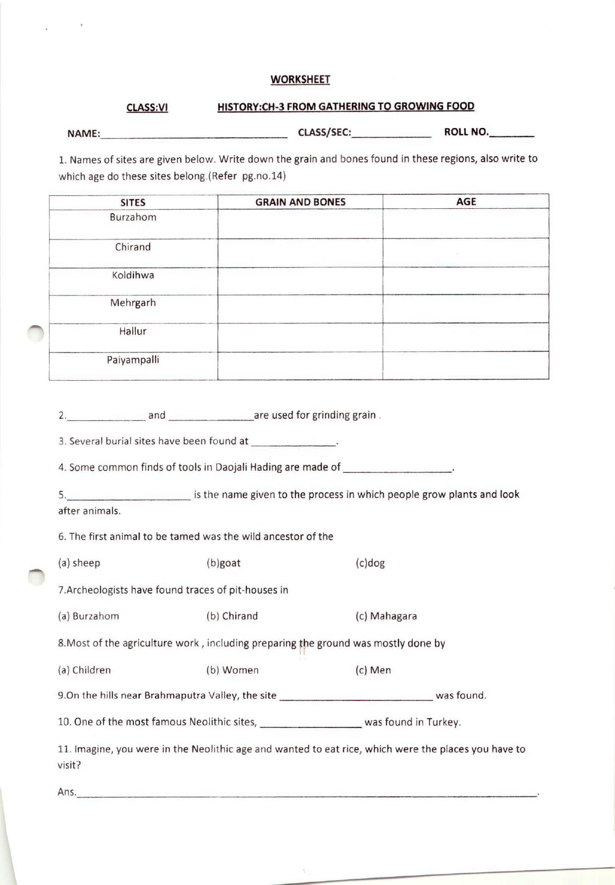 CBSE Worksheets for Class 6 Social Science Gathering to Growing Food ...