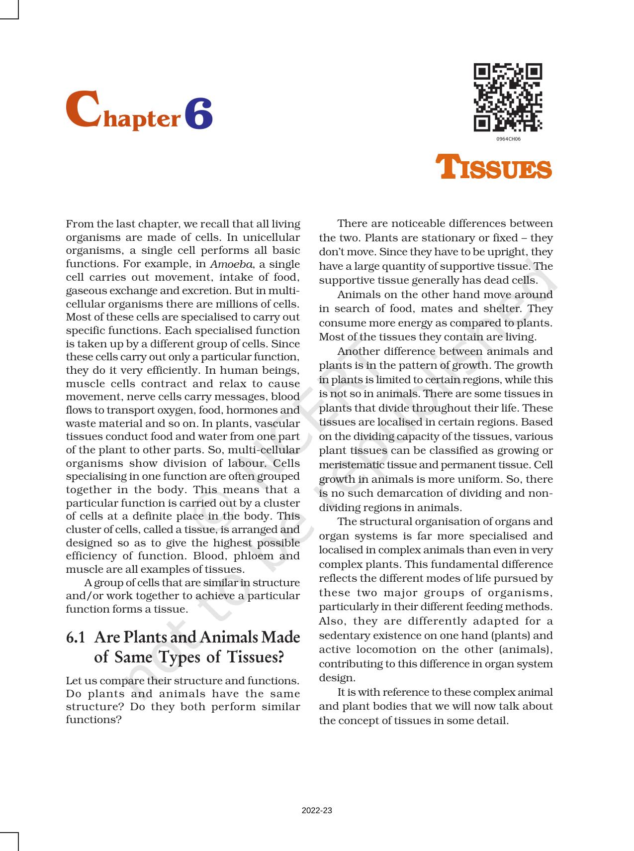 NCERT Book for Class 9 Science Chapter 6 Tissues