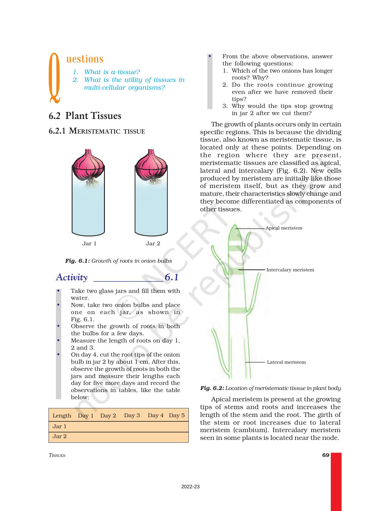 NCERT Book for Class 9 Science Chapter 6 Tissues