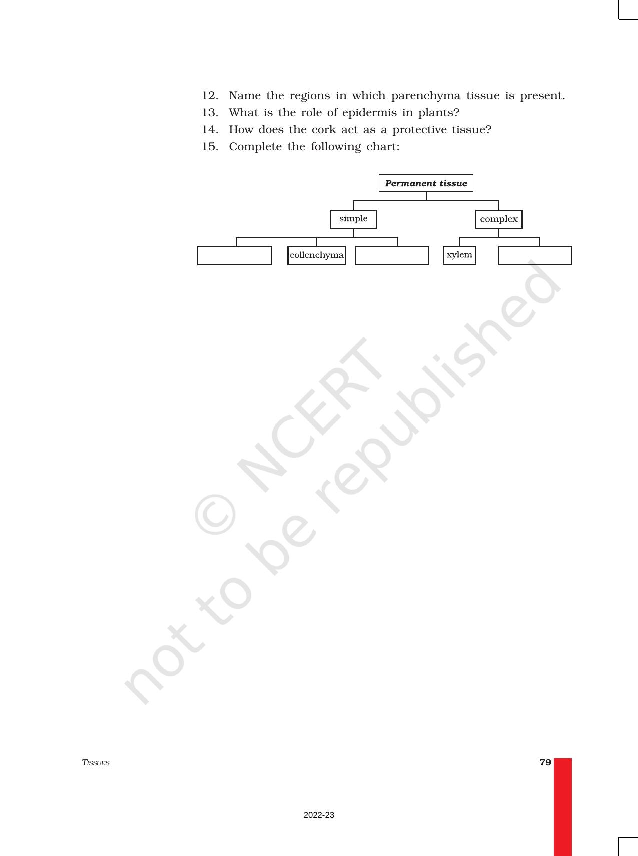 NCERT Book For Class 9 Science Chapter 6 Tissues IndCareer Docs