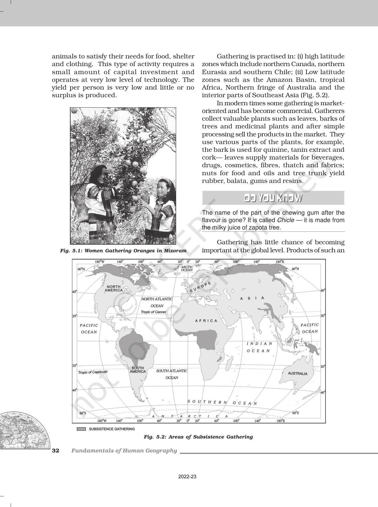 NCERT Book for Class 12 Geography Chapter 5 Primary Activities
