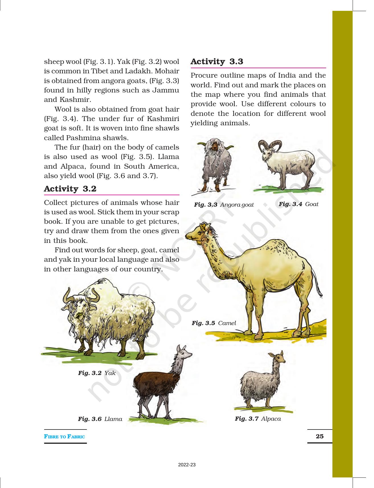 NCERT Book for Class 7 Science: Chapter 3-Fibre to Fabric - IndCareer ...