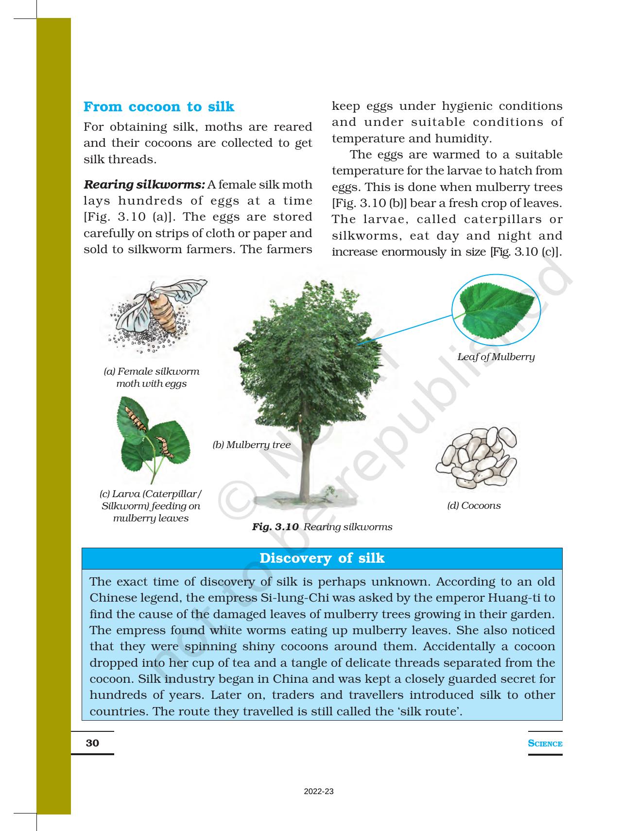NCERT Book for Class 7 Science: Chapter 3-Fibre to Fabric - IndCareer ...