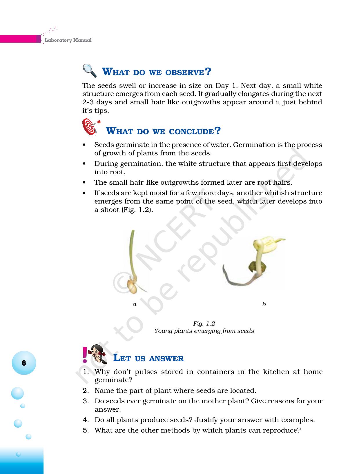 NCERT Laboratory Manuals for Class VI to VIII Science - Theme 1- Food ...