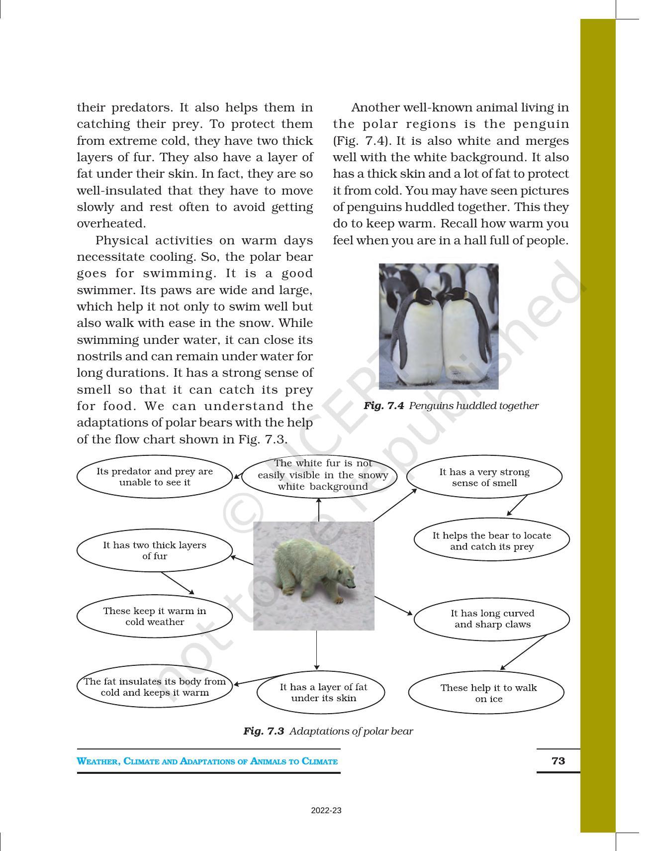 NCERT Book for Class 7 Science: Chapter 7-Weather, Climate and ...