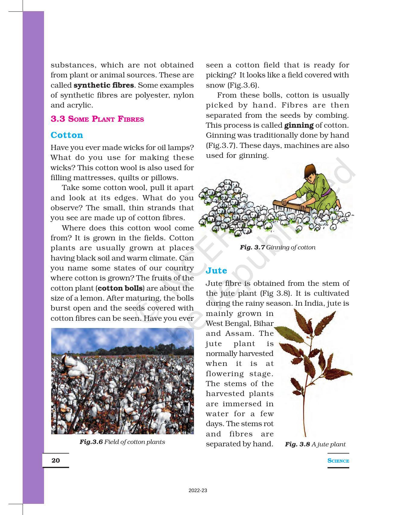 NCERT Book for Class 6 Science: Chapter 3-Fibre to Fabric - IndCareer Schools