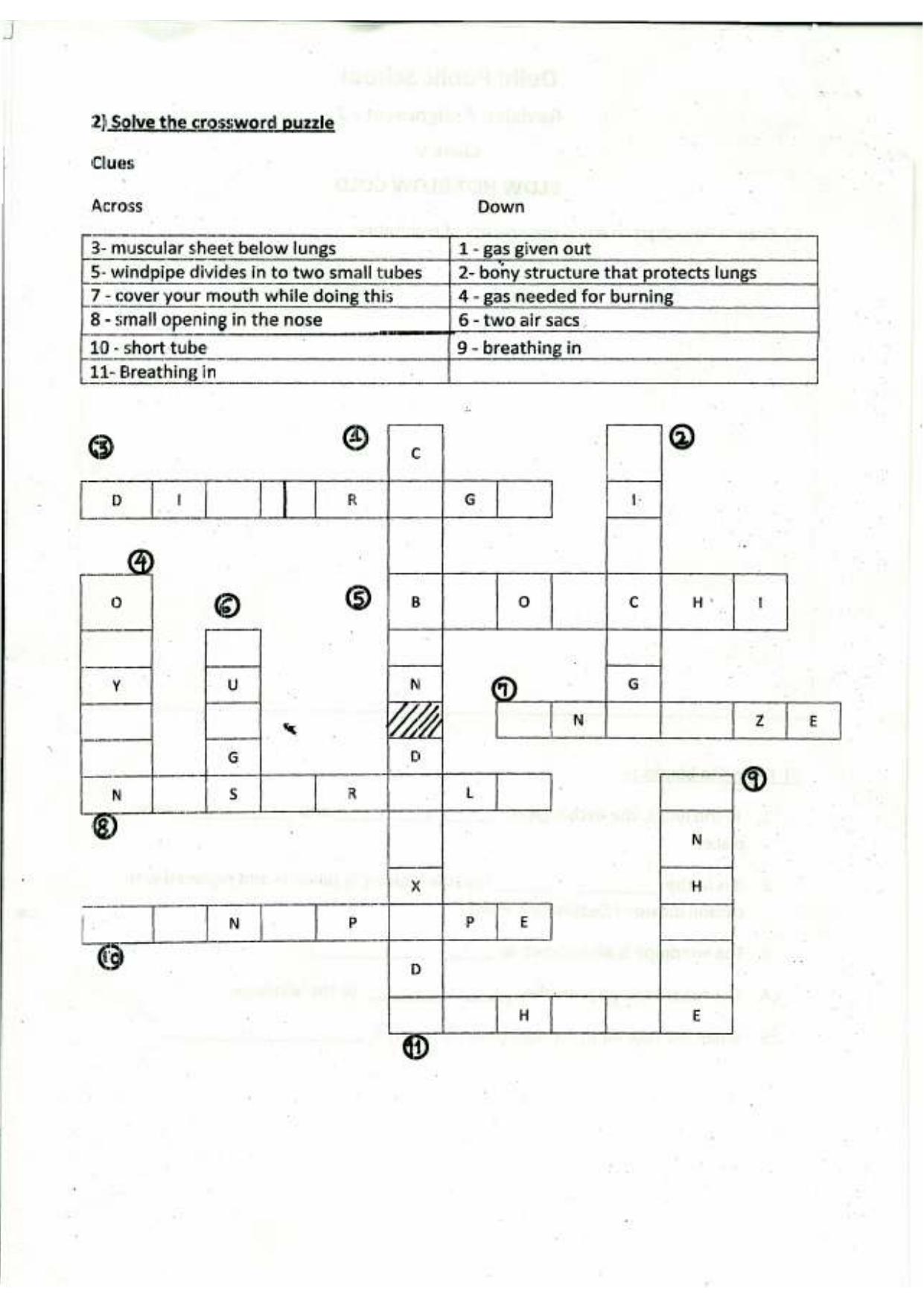 Worksheet for Class 5 Environmental Studies Assignment 6 - IndCareer Docs