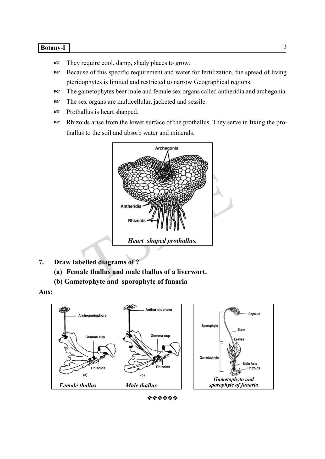 TS SCERT Inter 1st Year Botany Path 1 (English Medium) Text Book ...