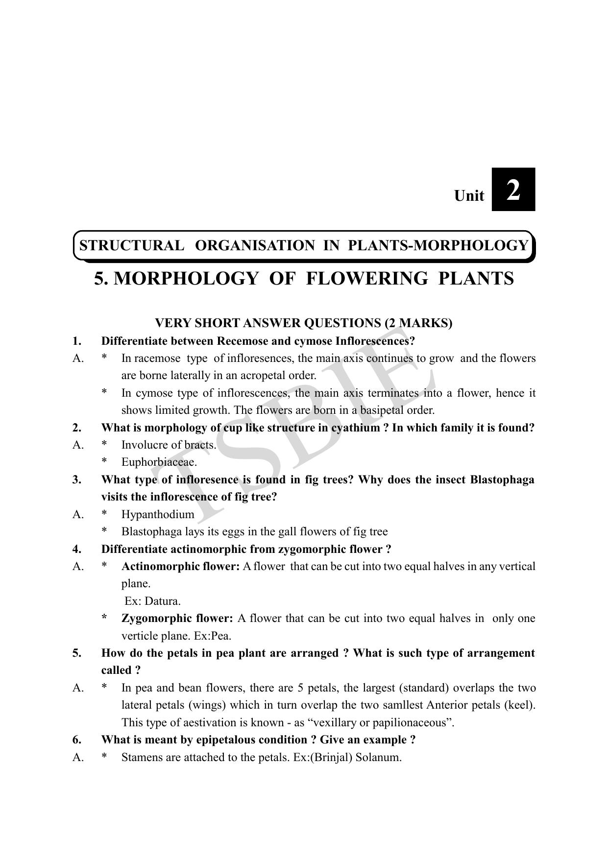 TS SCERT Inter 1st Year Botany Path 1 (English Medium) Text Book ...