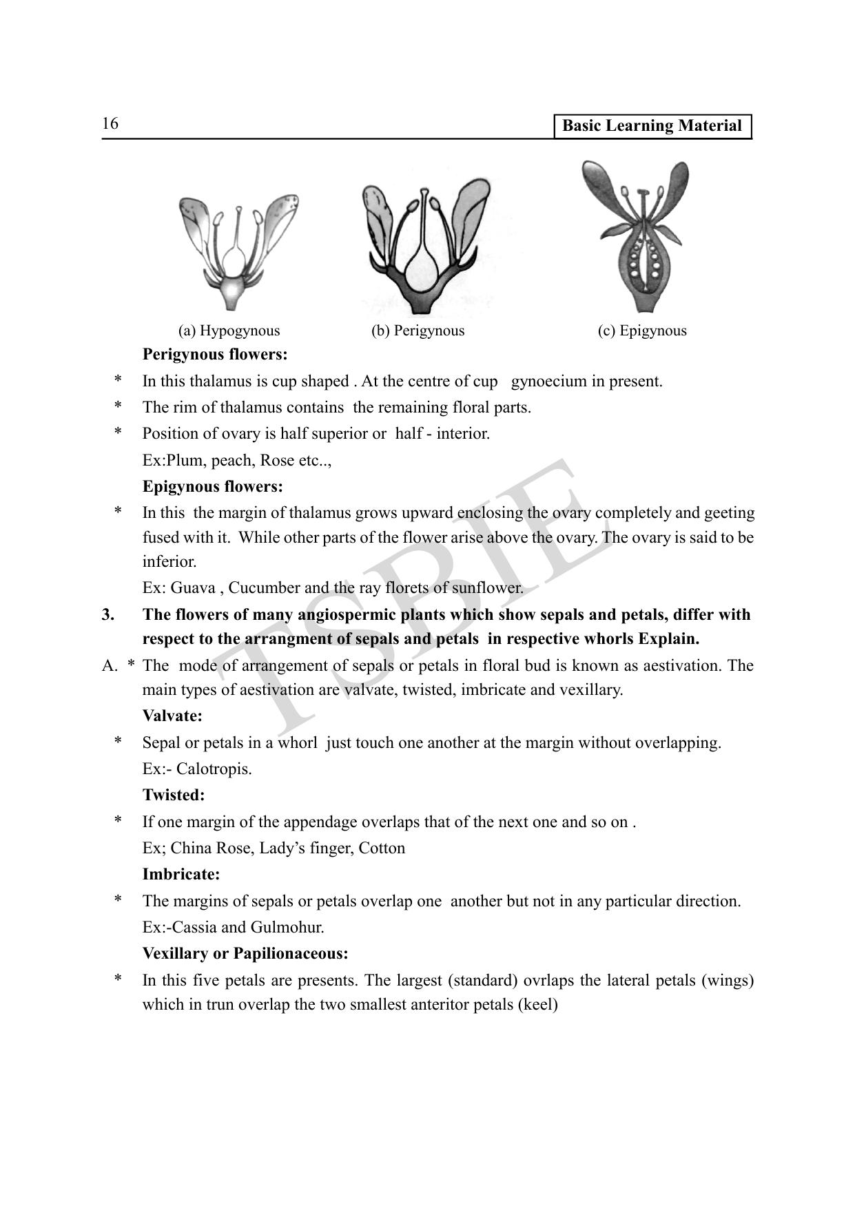 TS SCERT Inter 1st Year Botany Path 1 (English Medium) Text Book ...
