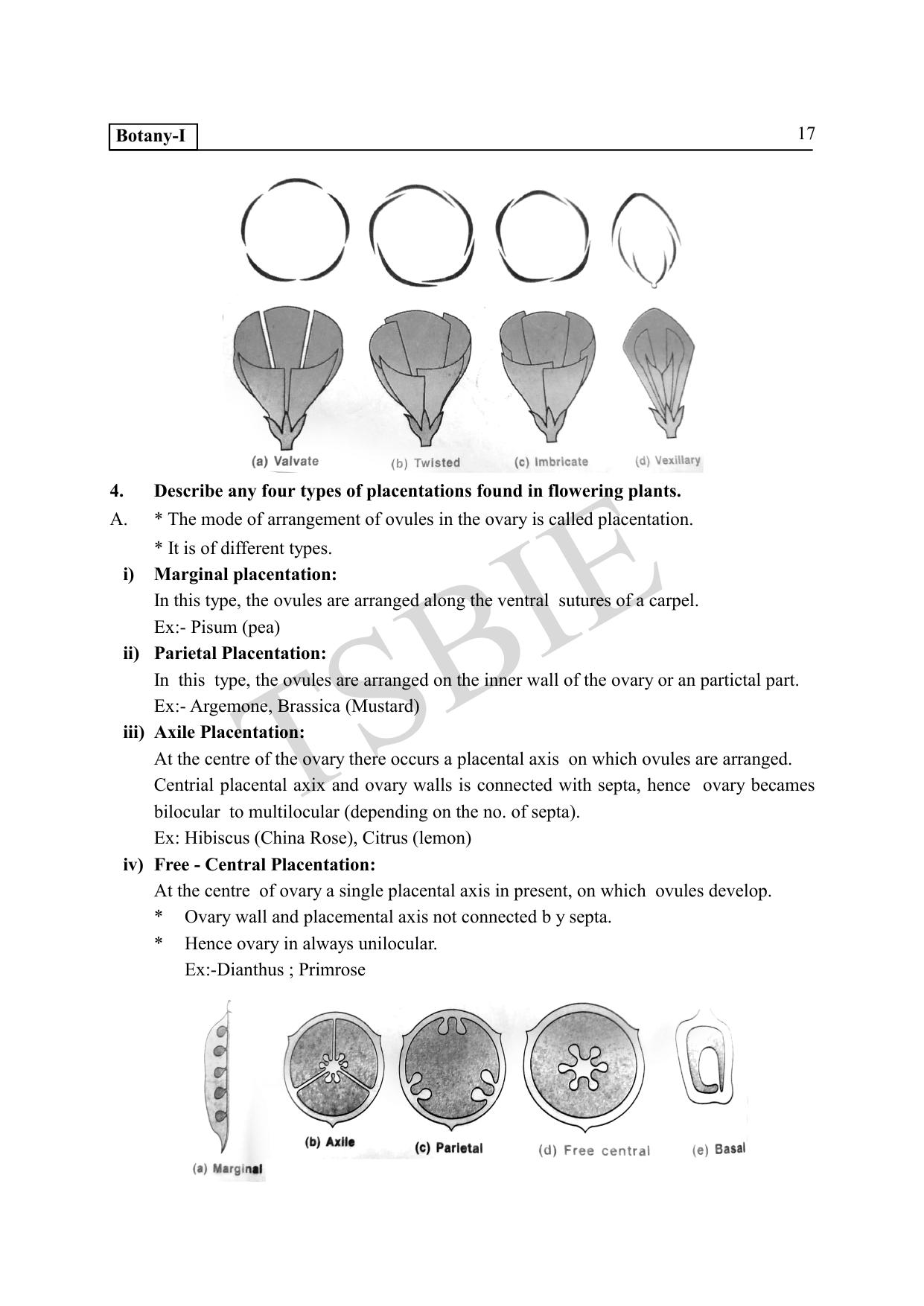 TS SCERT Inter 1st Year Botany Path 1 (English Medium) Text Book - IndCareer Docs
