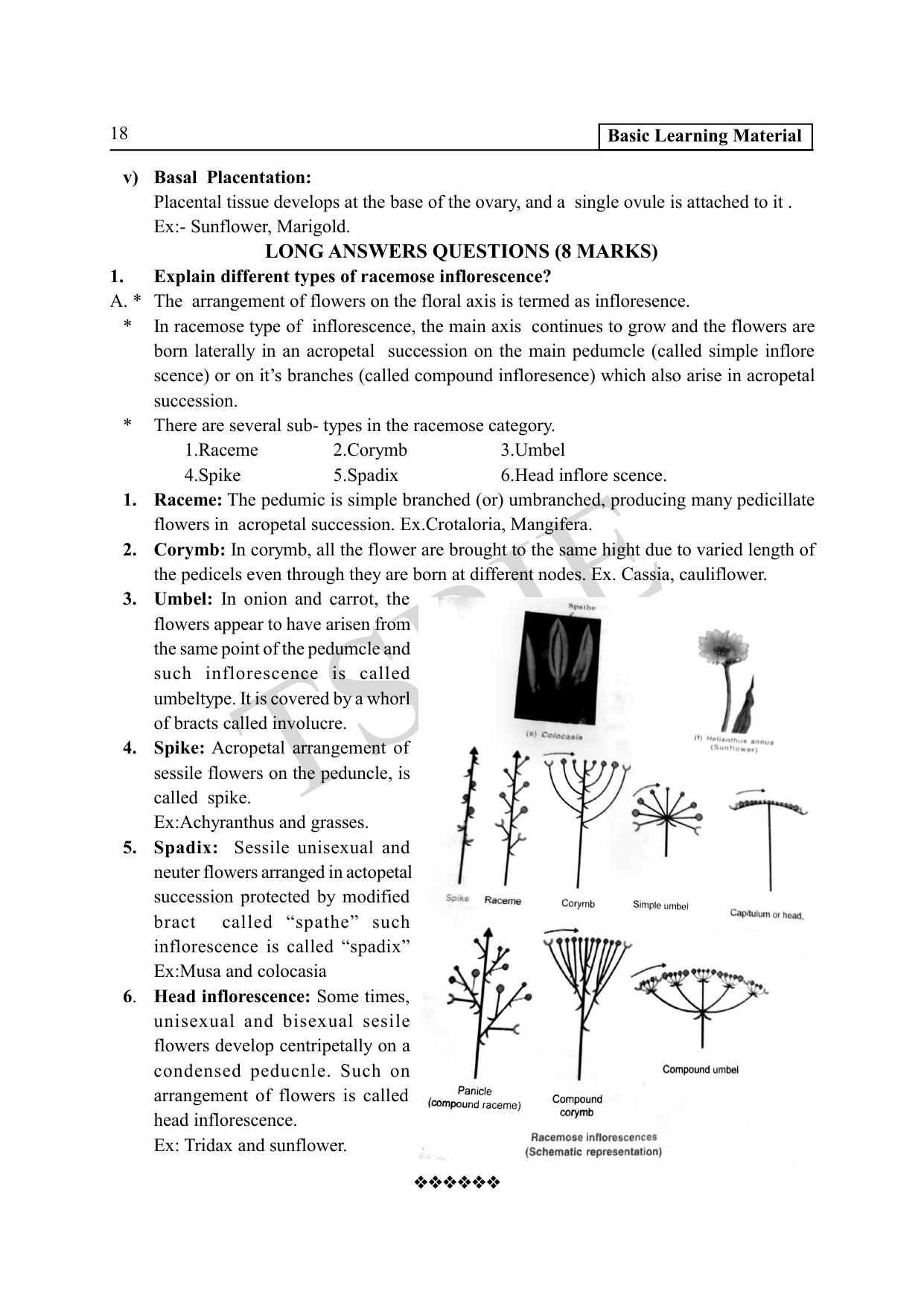 TS SCERT Inter 1st Year Botany Path 1 (English Medium) Text Book ...