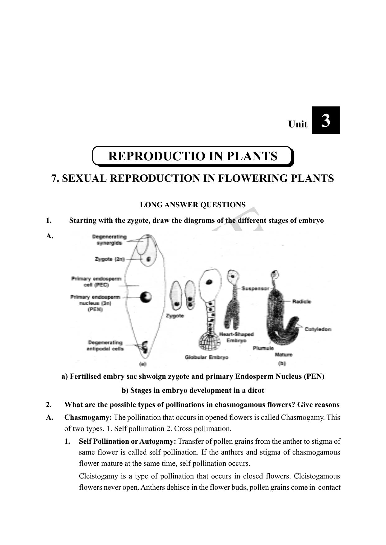 TS SCERT Inter 1st Year Botany Path 1 (English Medium) Text Book ...
