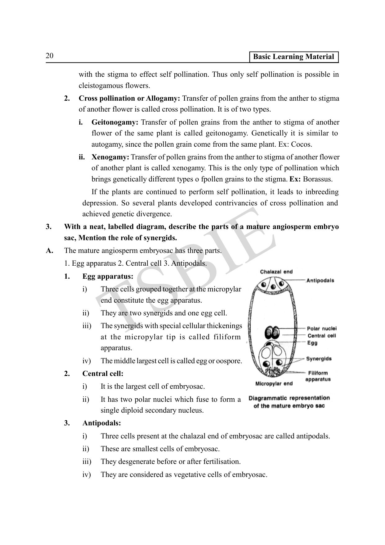 TS SCERT Inter 1st Year Botany Path 1 (English Medium) Text Book - IndCareer Docs
