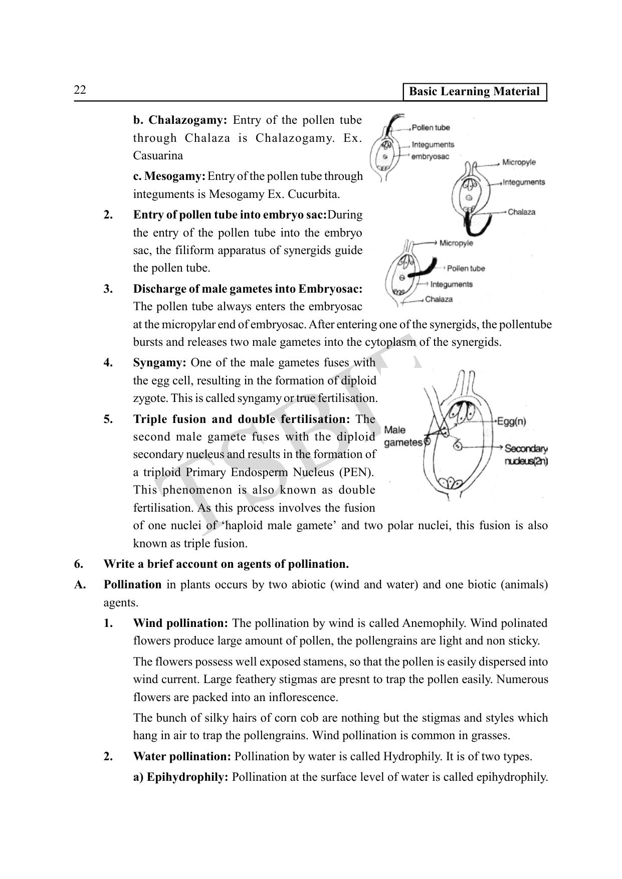 TS SCERT Inter 1st Year Botany Path 1 (English Medium) Text Book ...