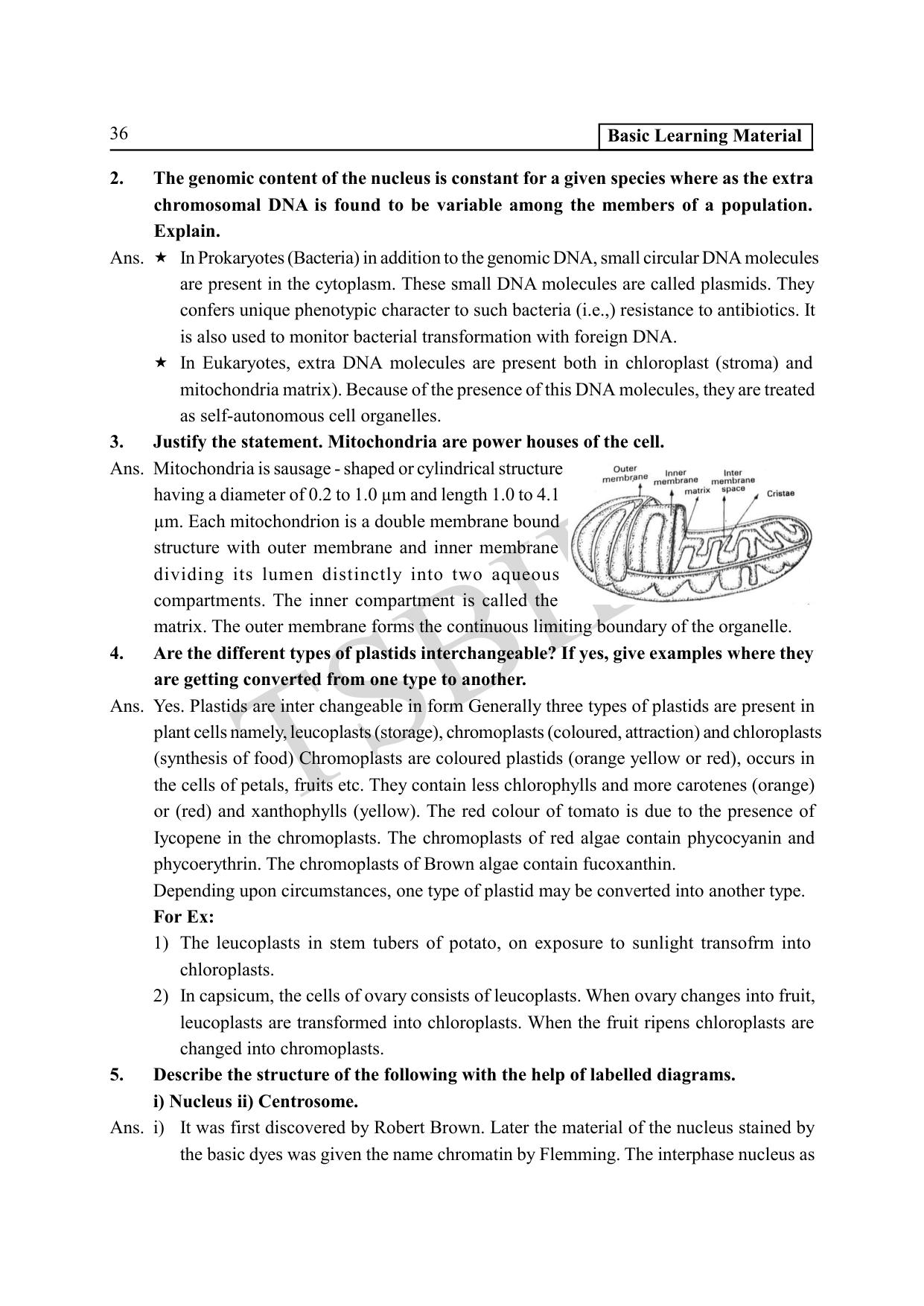 TS SCERT Inter 1st Year Botany Path 1 (English Medium) Text Book ...