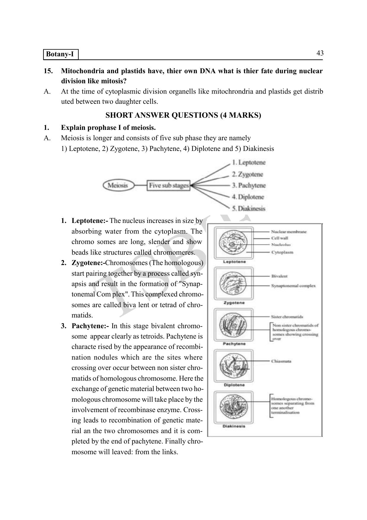 TS SCERT Inter 1st Year Botany Path 1 (English Medium) Text Book ...