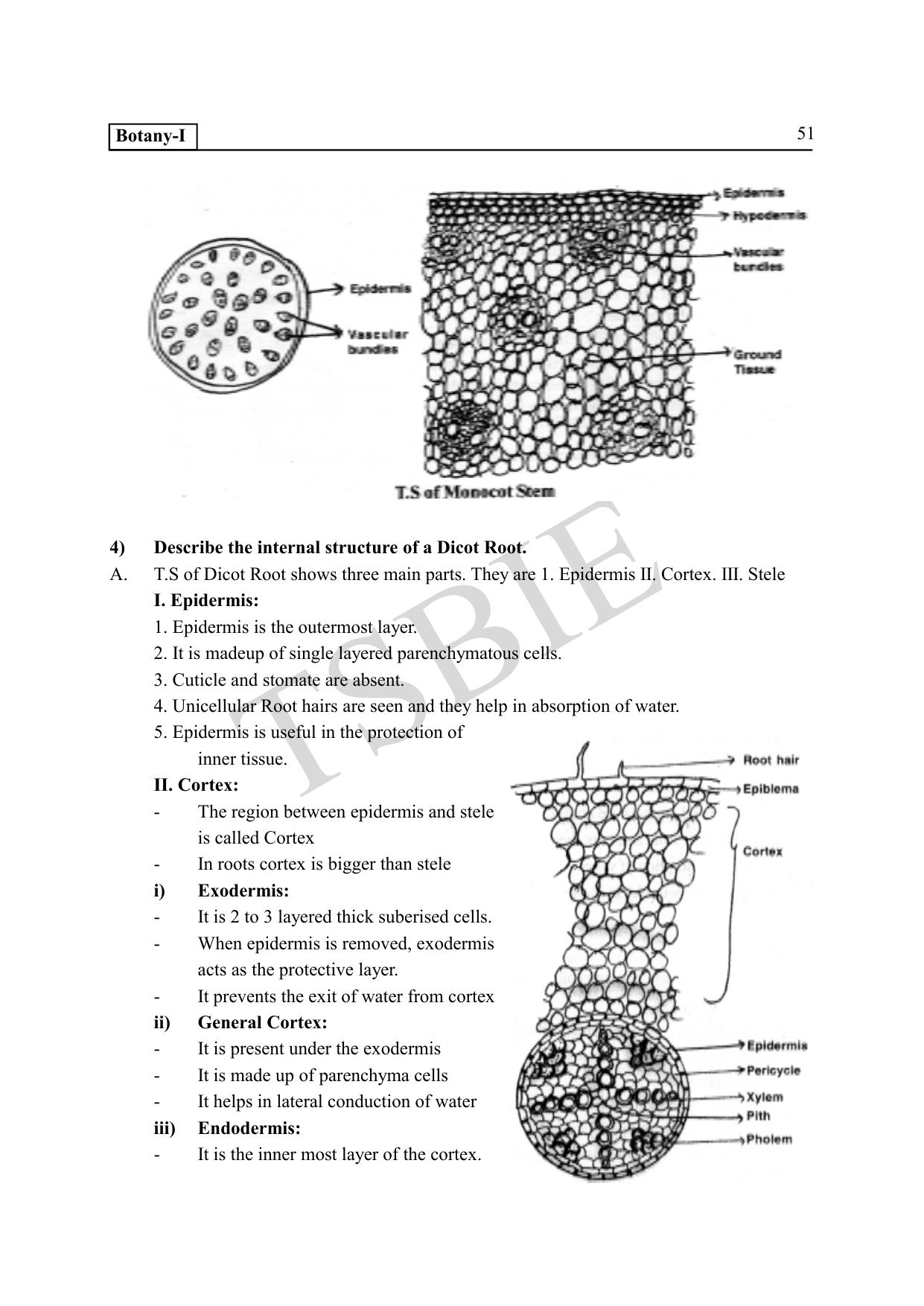 TS SCERT Inter 1st Year Botany Path 1 (English Medium) Text Book - IndCareer Docs