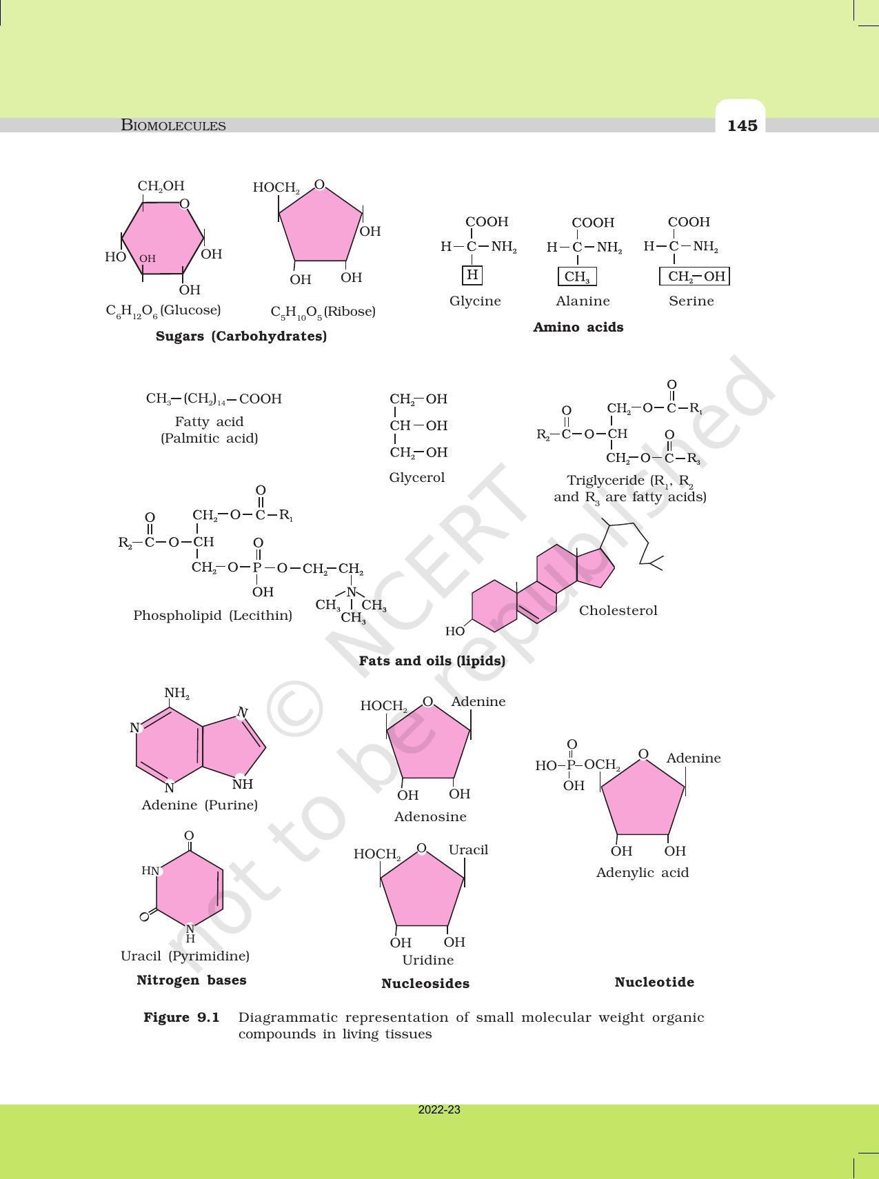 NCERT Book for Class 11 Biology Chapter 9 Biomolecules