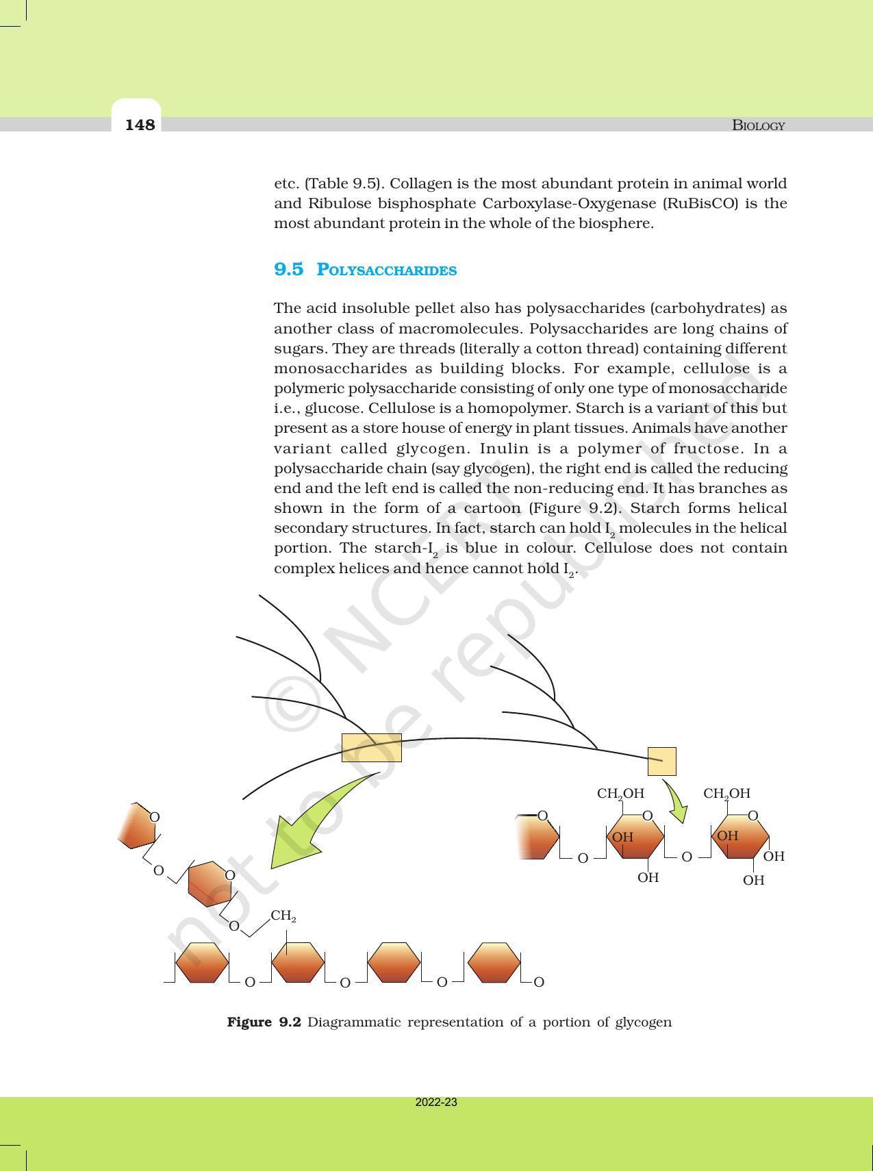NCERT Book for Class 11 Biology Chapter 9 Biomolecules