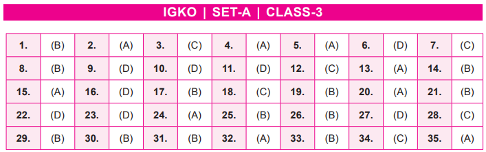 IGKO Class 3 Answer Keys - IndCareer Schools