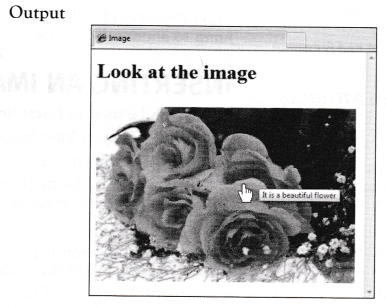NCERT Solutions for Class 10, Inserting Images - IndCareer Schools