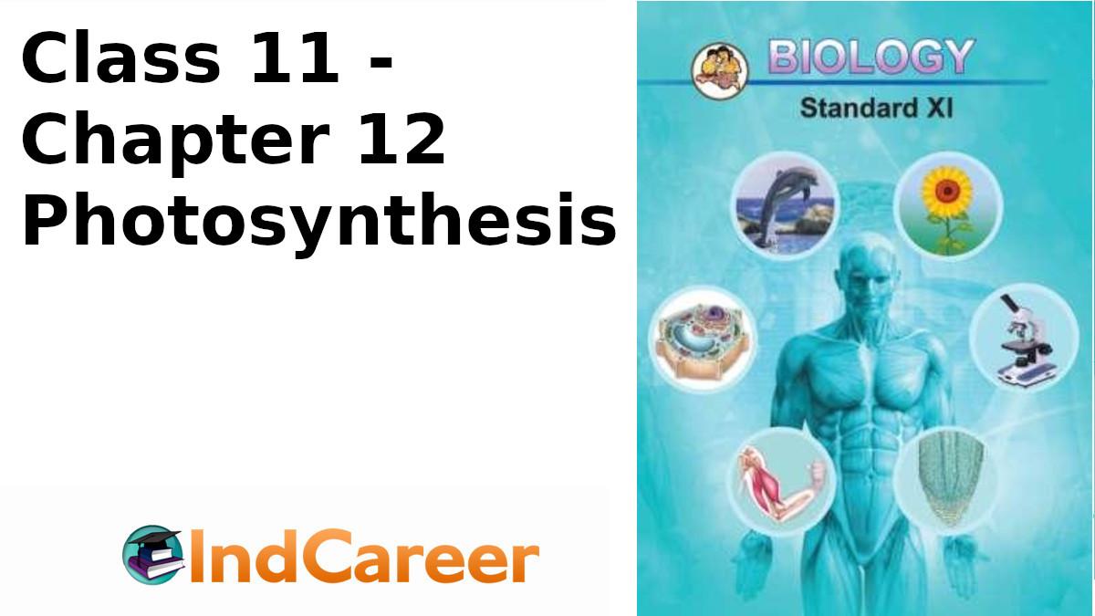 Maharashtra Board for Class 11, Biology Chapter 12 - IndCareer Schools