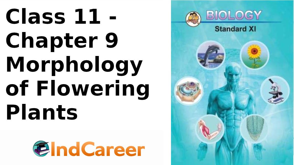 Maharashtra Board for Class 11, Biology Chapter 9 - IndCareer Schools