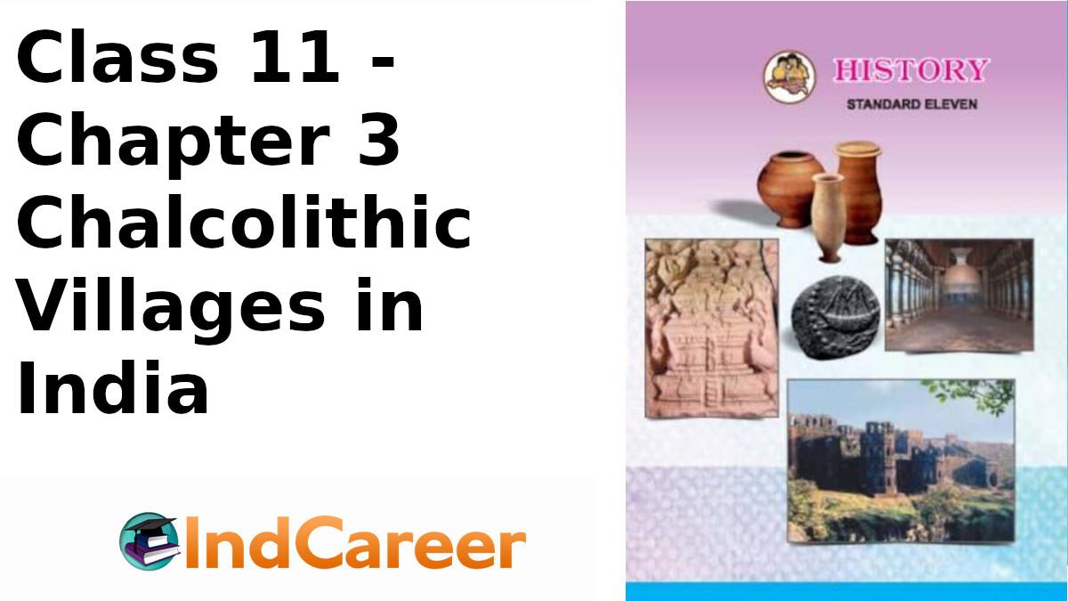 Maharashtra Board for Class 11, History Chapter 3 - IndCareer Schools