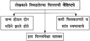 Maharashtra Board for Class 10, Marathi Chapter 17 - IndCareer Schools