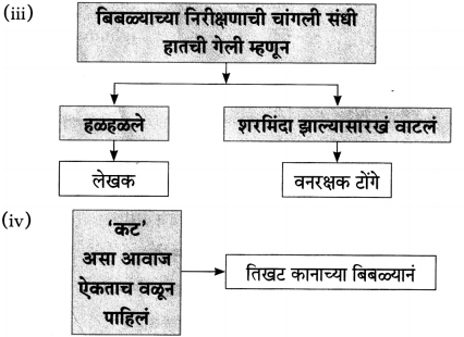Maharashtra Board for Class 10, Marathi Chapter 11 - IndCareer Schools