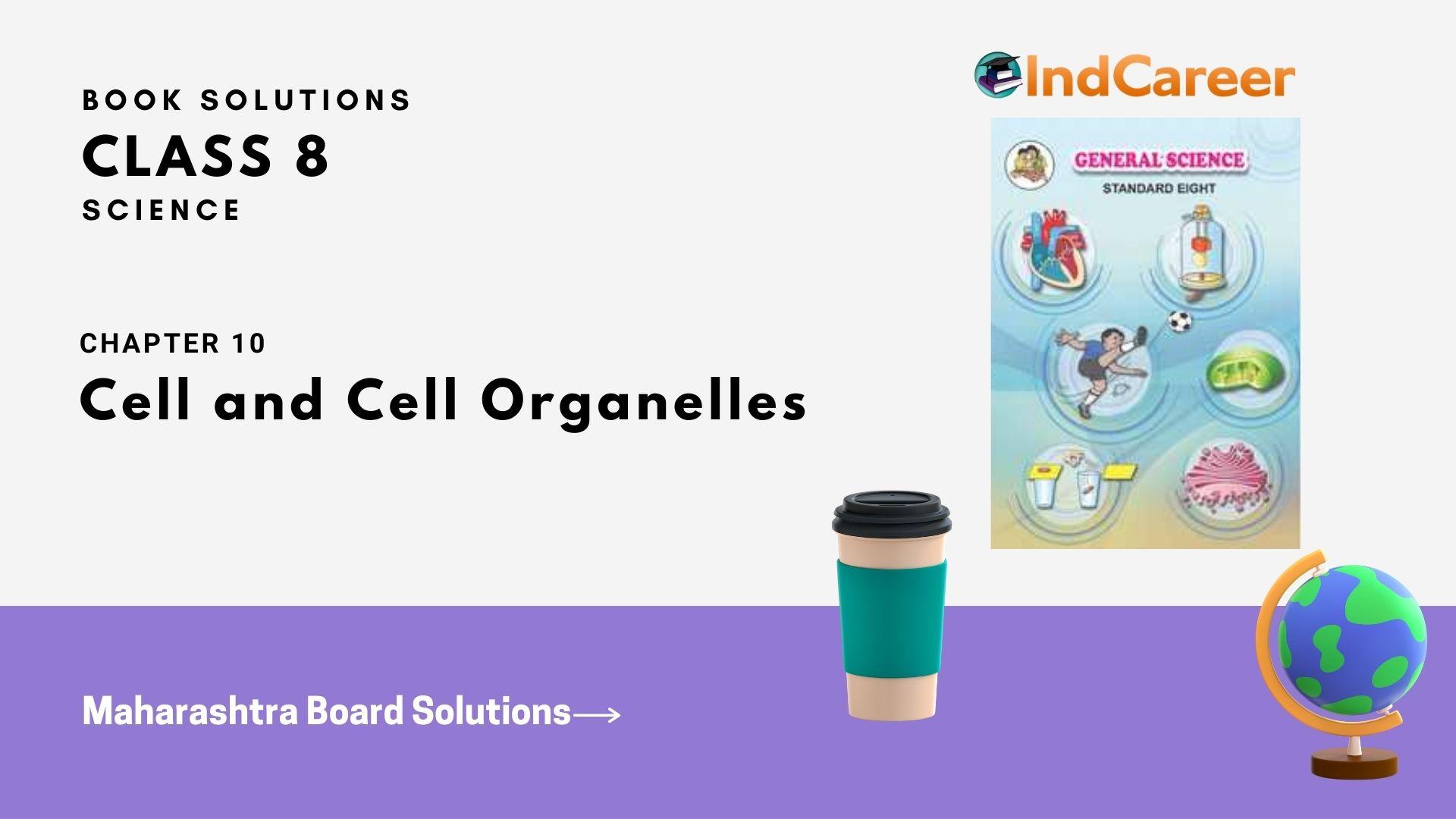 Maharashtra Board for Class 8, Science Chapter 10 - IndCareer Schools