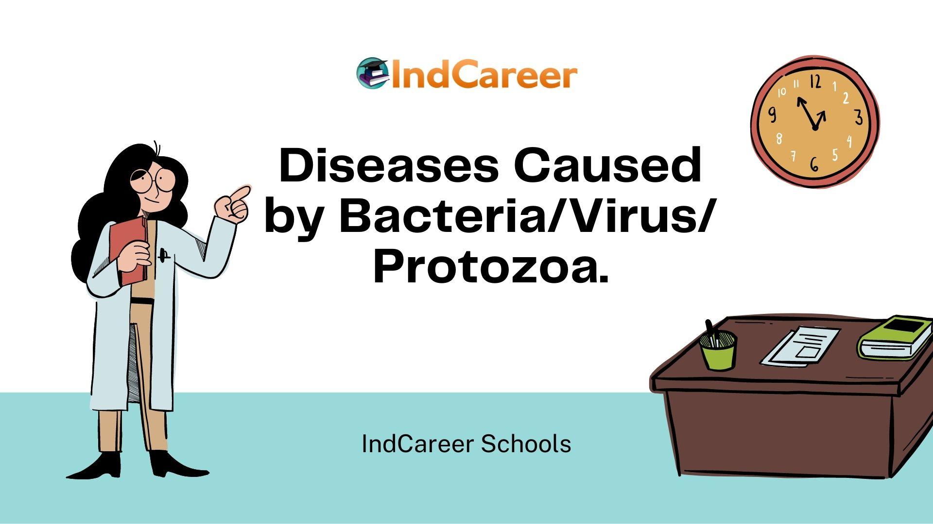 Diseases Caused By Bacteriavirusprotozoa Indcareer Schools