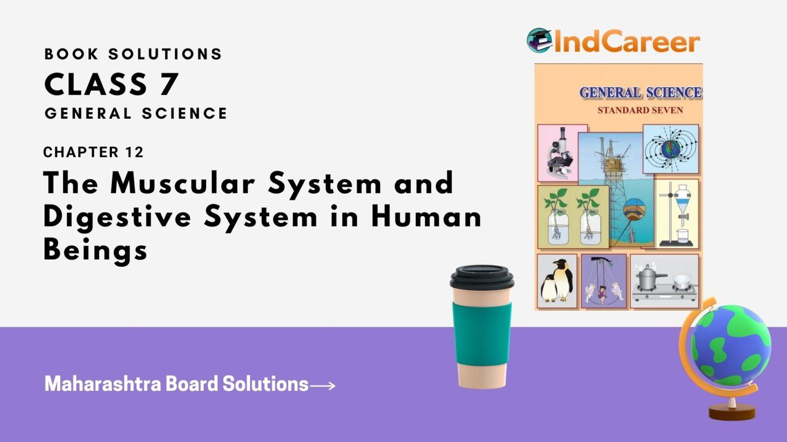 Maharashtra Board for Class 7, Science Chapter 12 - IndCareer Schools